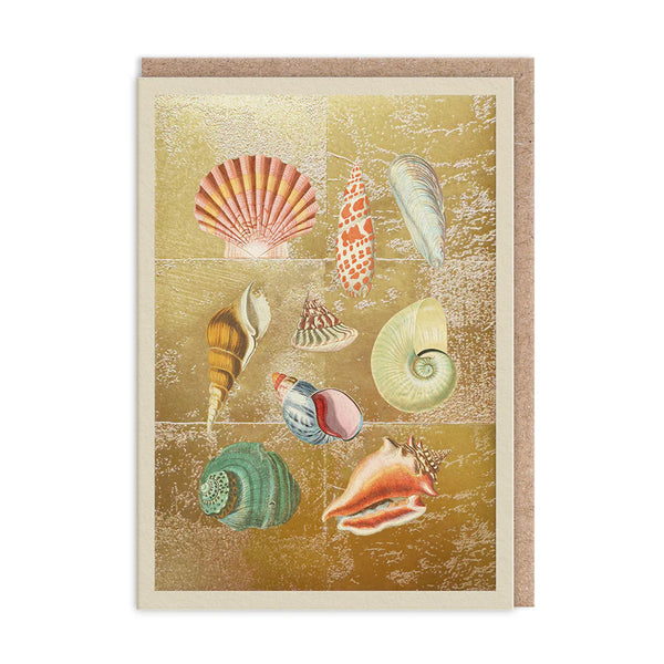 Shell Collection Greeting Card – Royal Armouries Museum Shop